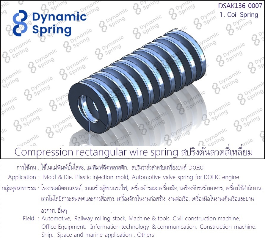 Coil Spring | Dynamic Spring