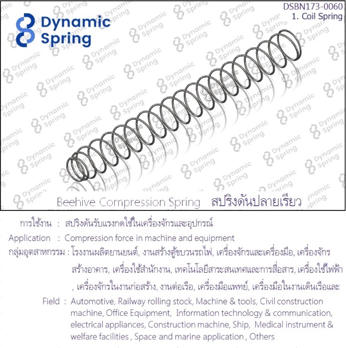 Coil Spring | Dynamic Spring