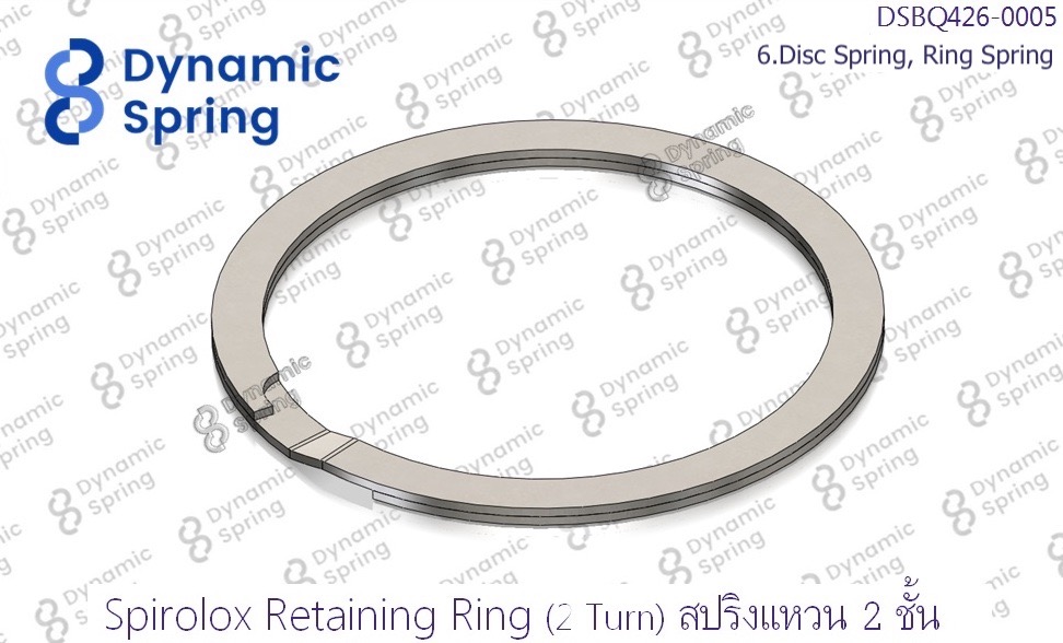 Disc Spring, Ring Spring | Dynamic Spring